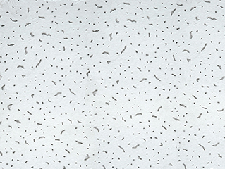 Gabi farbara - boje i lakovi